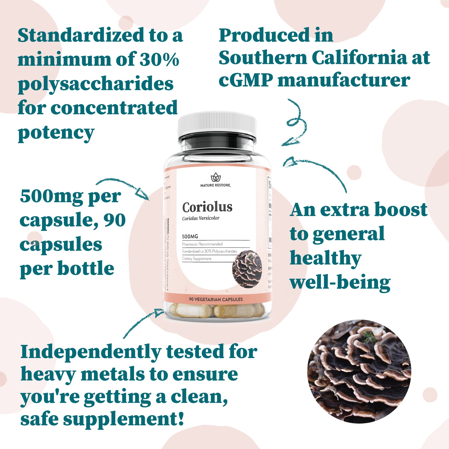 Coriolus Mushroom Supplement | Immunity Mushroom | Antioxidants ...