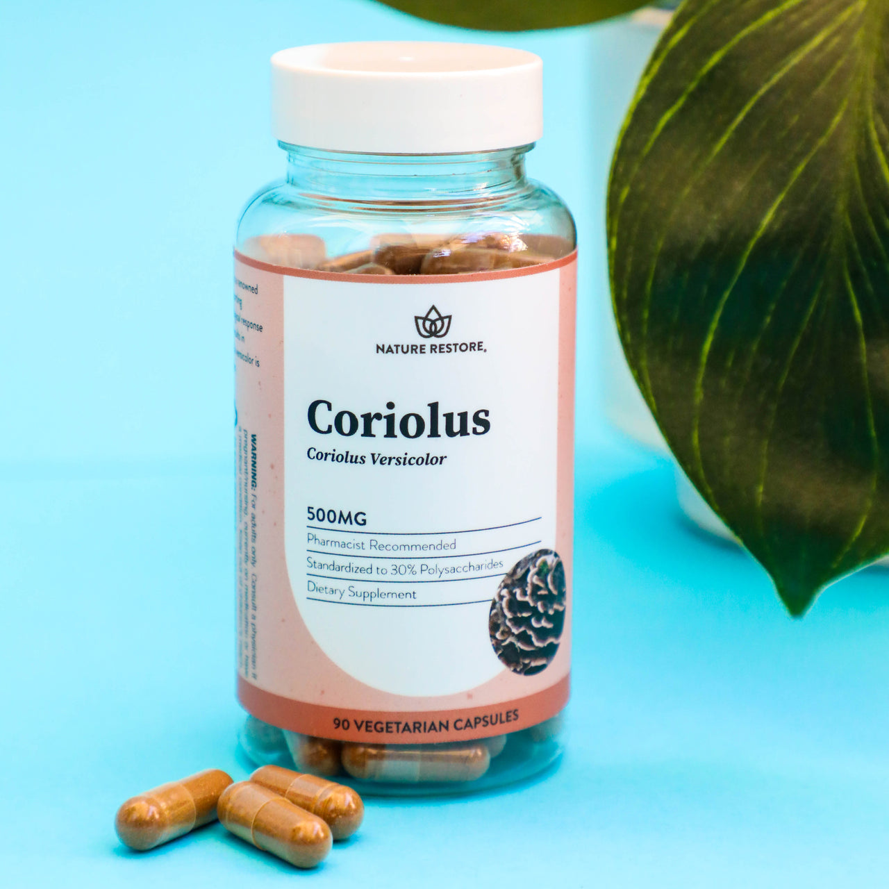 Coriolus Mushroom Supplement | Immunity Mushroom | Antioxidants ...
