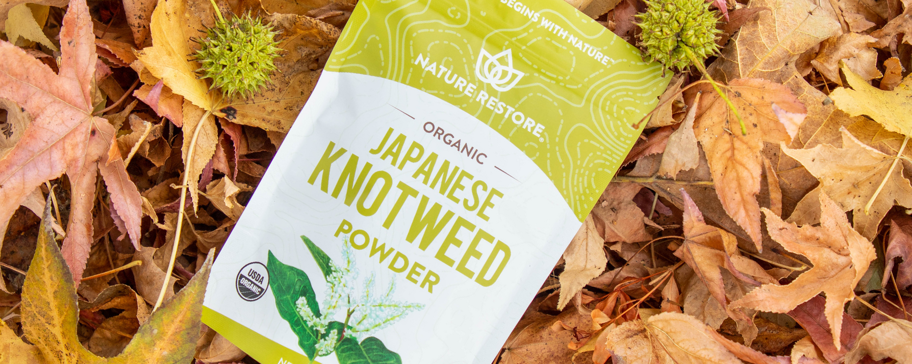 Organic Japanese Knotweed Powder | Best Trans Resveratrol Supplement ...