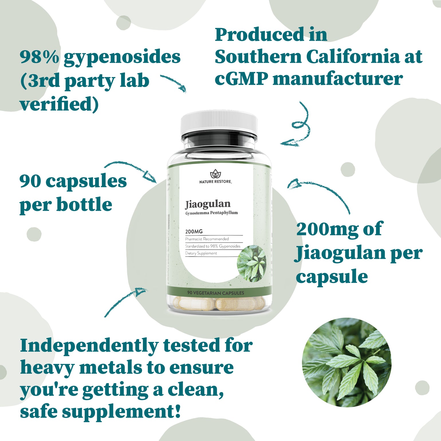 Jiaogulan Supplement | Natural AMPK Activator | Jiaogulan Capsules ...