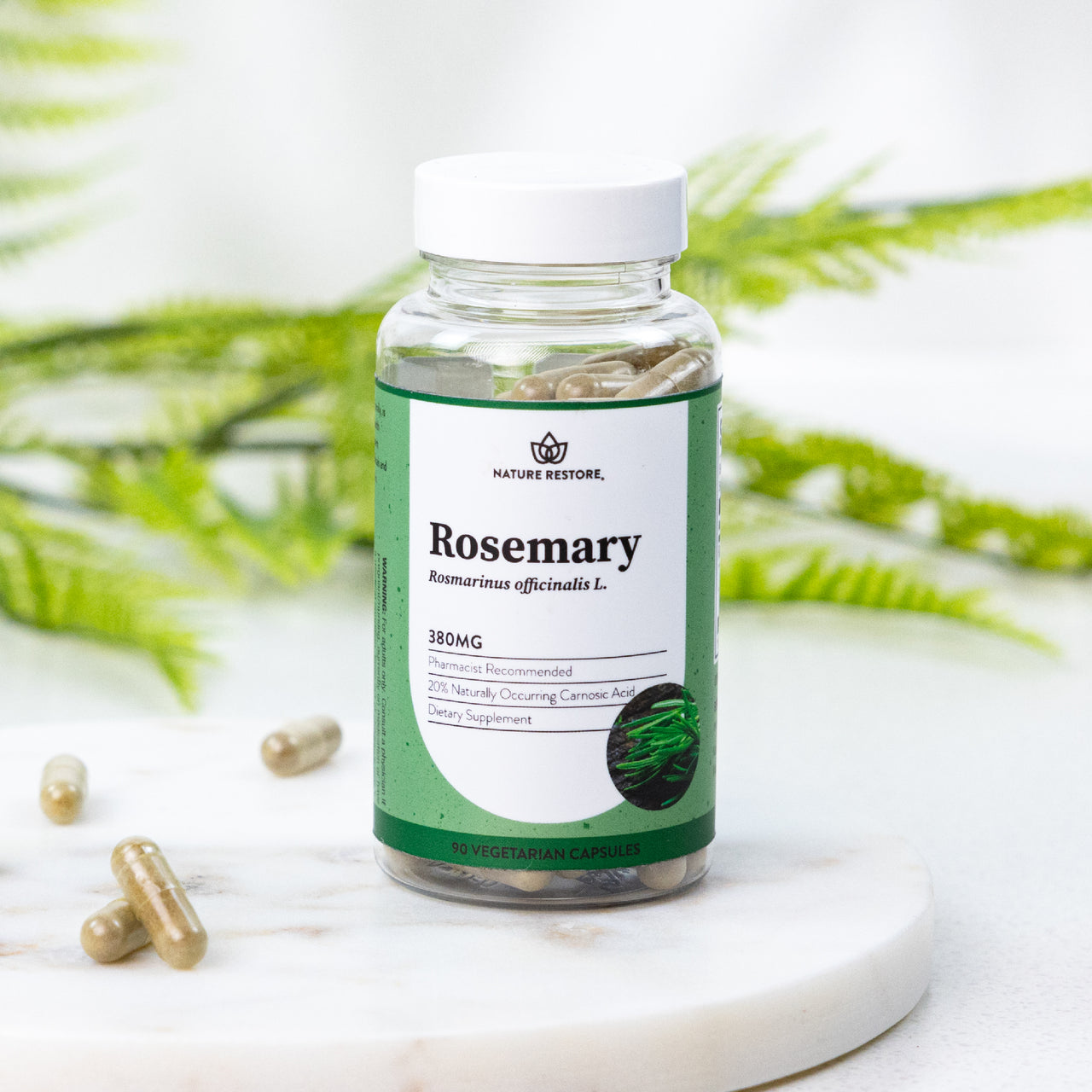 Rosemary Antioxidant Extract Supplement | Rosemary Extract For Skin ...