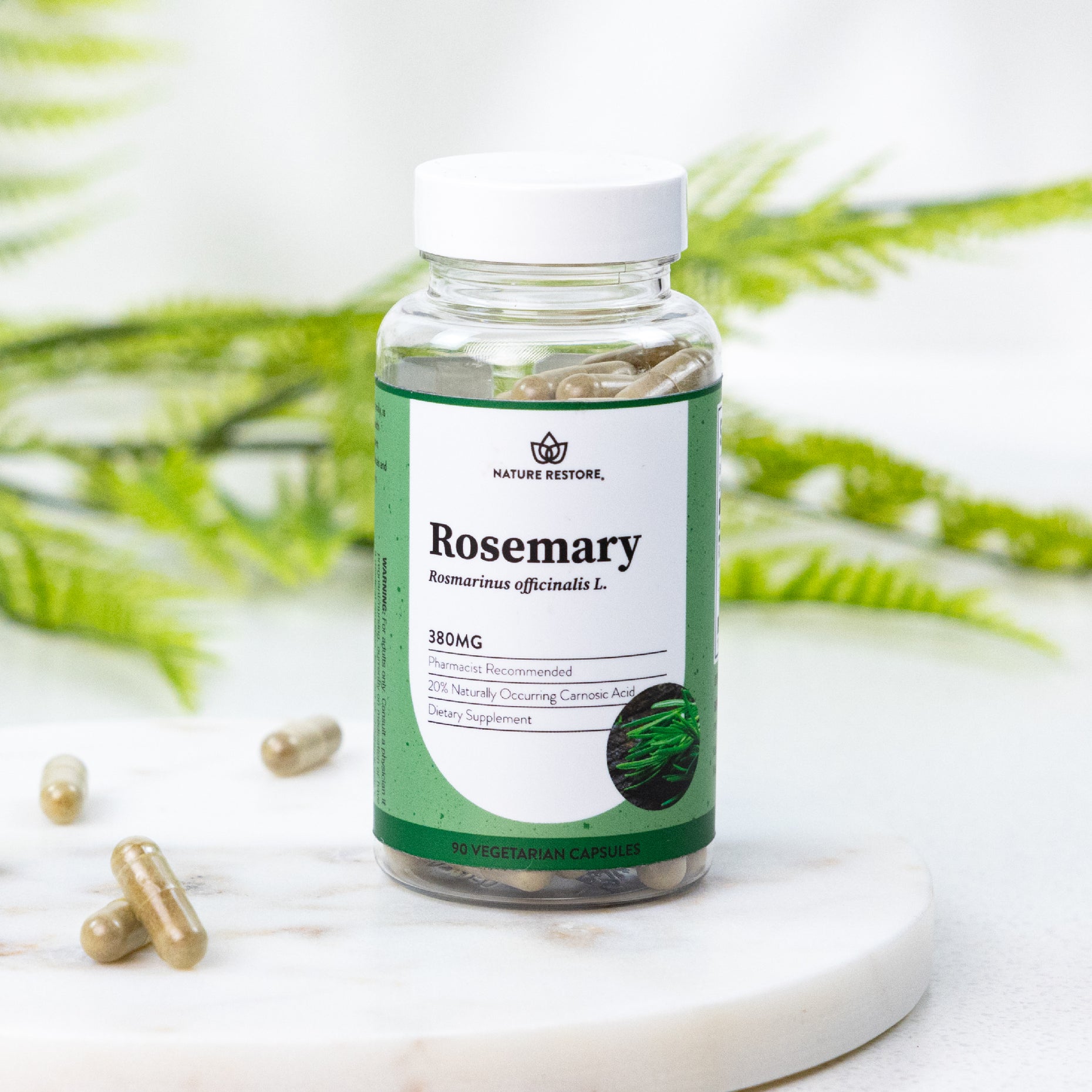 Rosemary Antioxidant Extract Supplement | Rosemary Extract For Skin ...