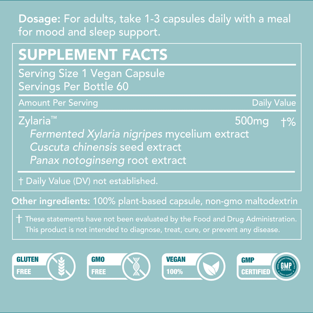 SleepBoost | Xylaria Nigripes Supplement For Relaxation & Quality Sleep ...
